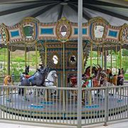 Amusement Rides – Chance Rides