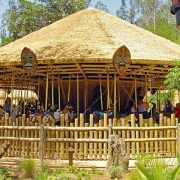 Amusement Rides – Chance Rides